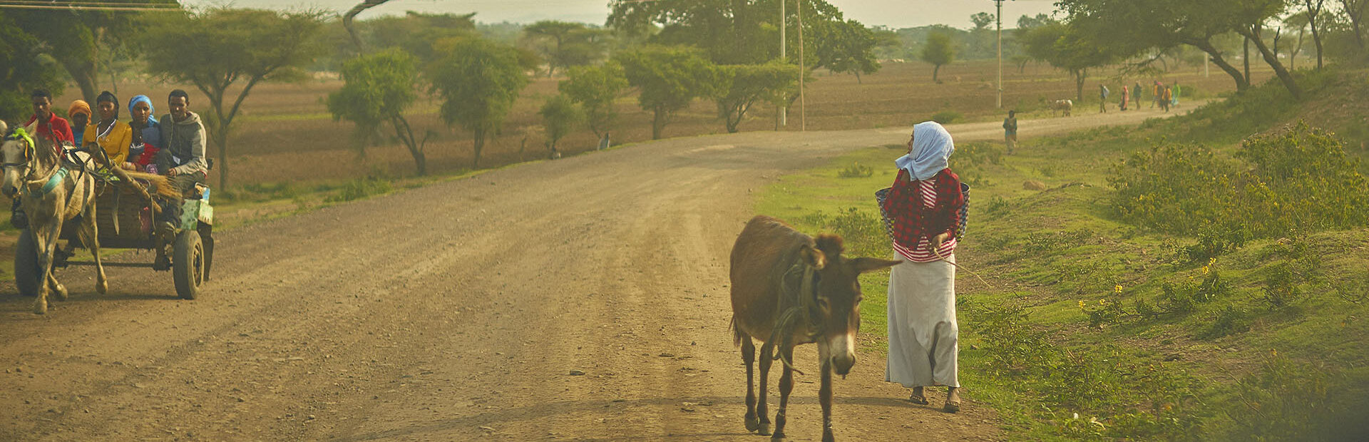 What is FARM-D - FARM-D