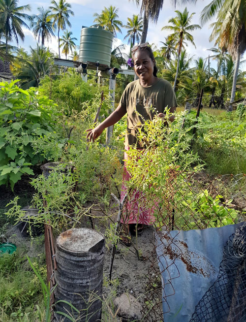 Self-sufficient farming for better health in the remote Pacific - FARM-D
