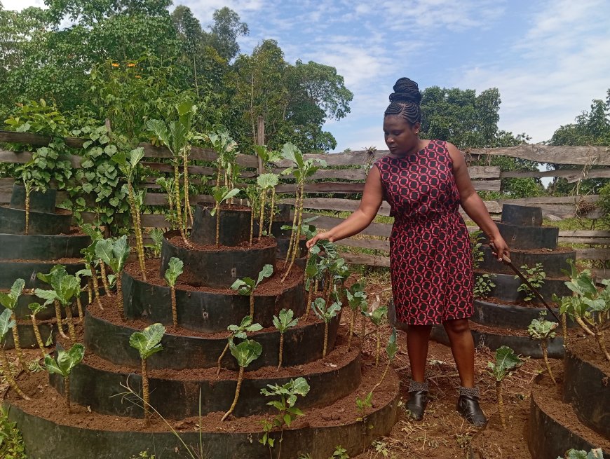 Young Kenyan Farmers Revolutionizing Agriculture through Regenerative Practices - FARM-D